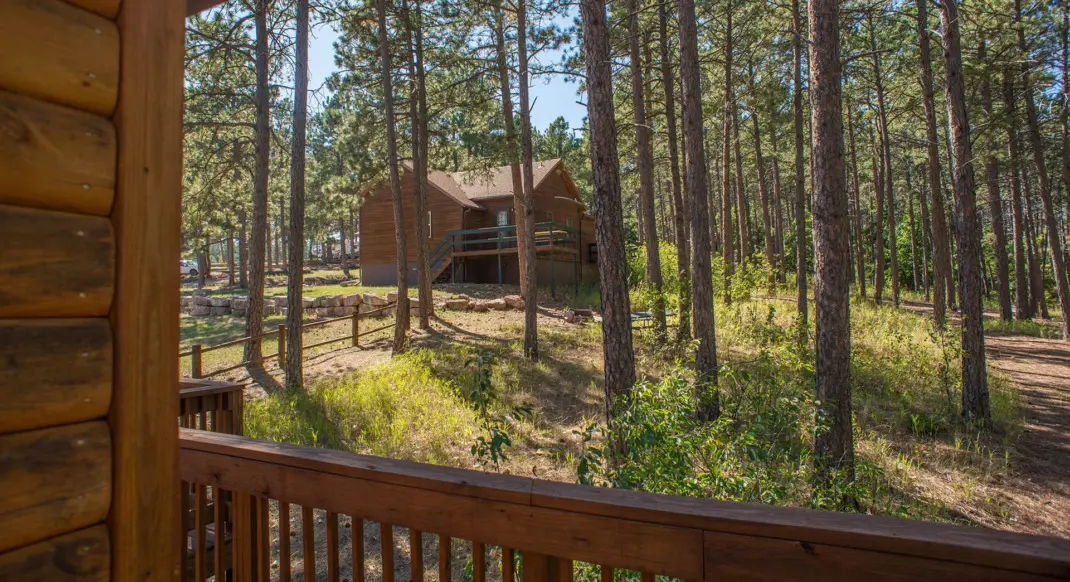 Forest View Cabin - HTR