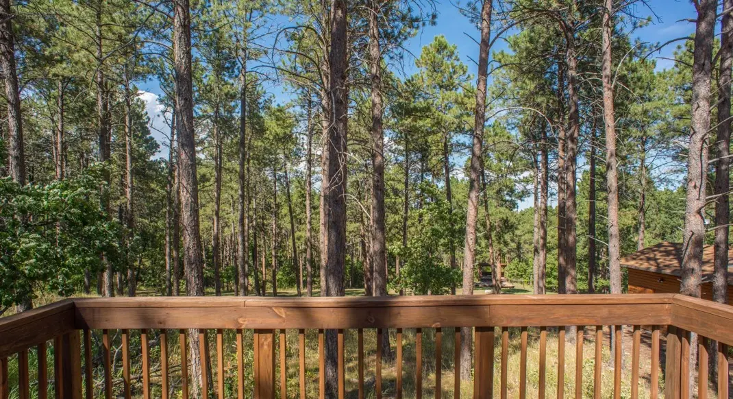 Forest View Cabin - HTR